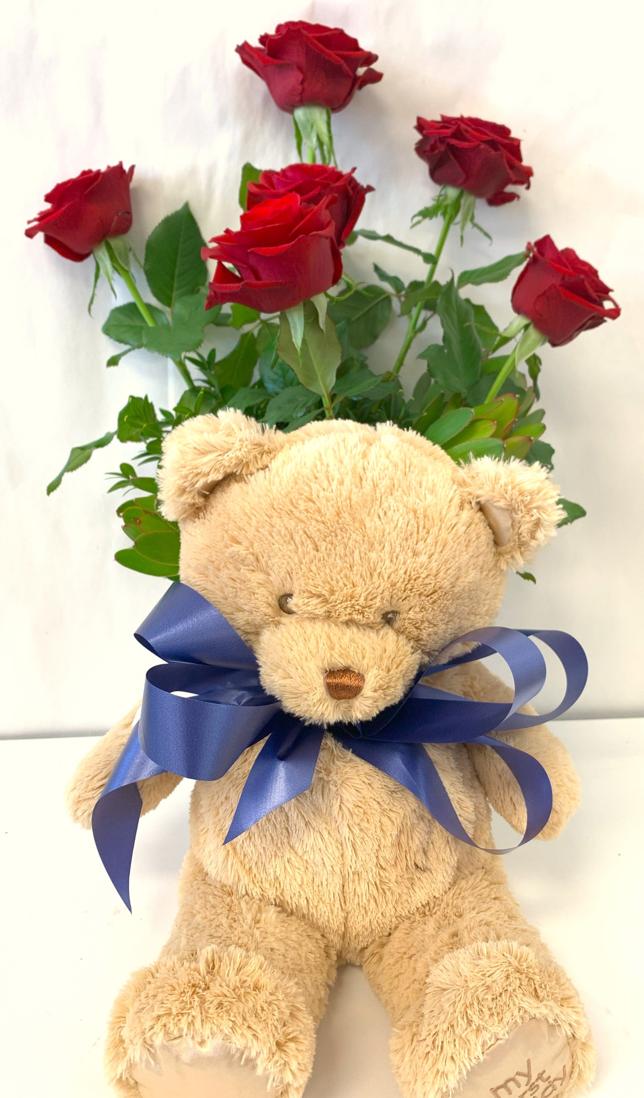 Teddy and six roses – Gails Floral Studio